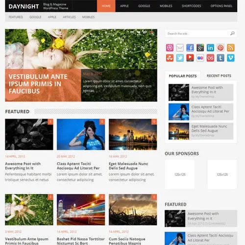 MyThemeShop Daynight WordPress Theme - ToolsZilla