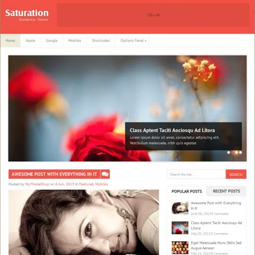 MyThemeShop Saturation WordPress Theme - ToolsZilla